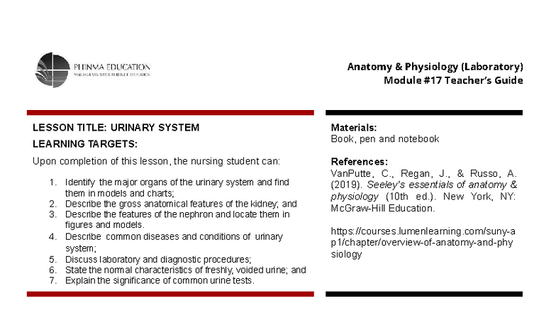 Anatomy Physiology (Lab) Module Guide: Urinary System Lesson - Studocu