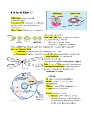 General Biology 1 Notes - General Bio 1 Notes Chapter 1: Science of ...