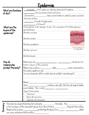 Medical Terminology Worksheet #3 - Valentina Abudie EmmanuEla DESIr I ...