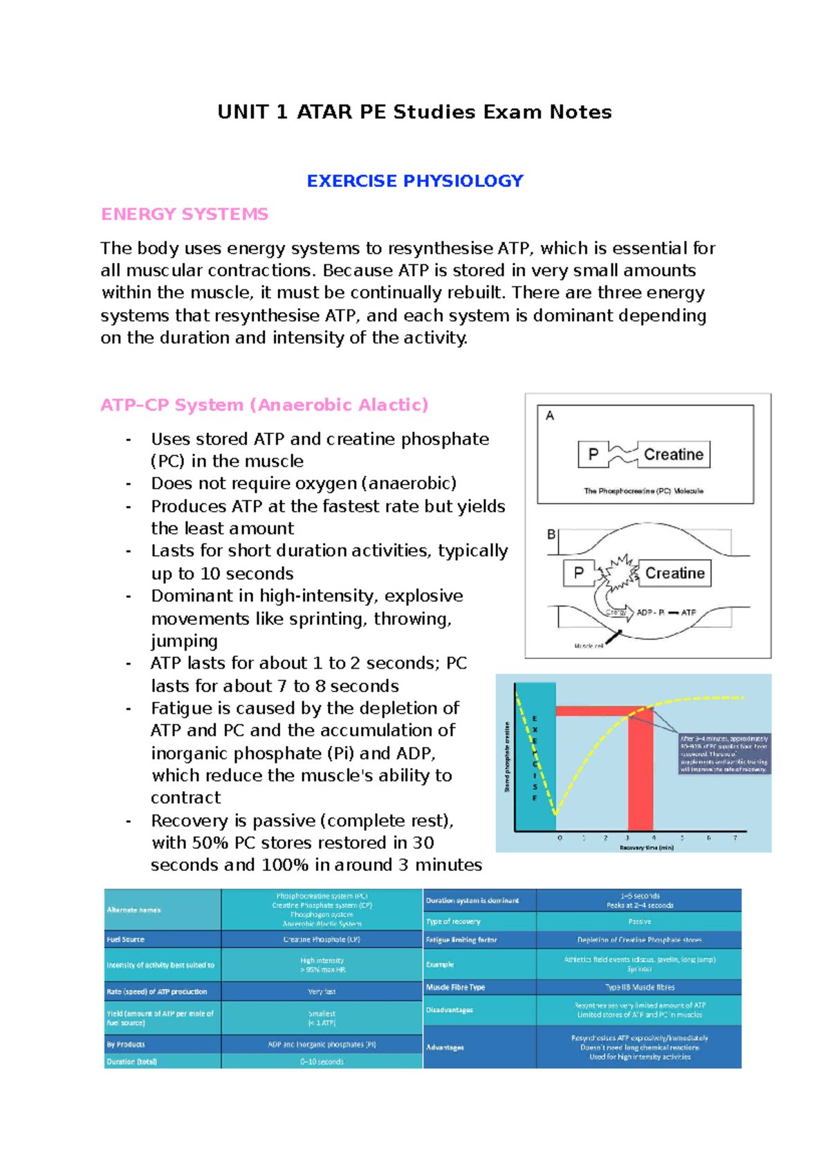 UNIT 1 ATAR PE Studies Exam Notes: Energy Systems & Physiology - Studocu