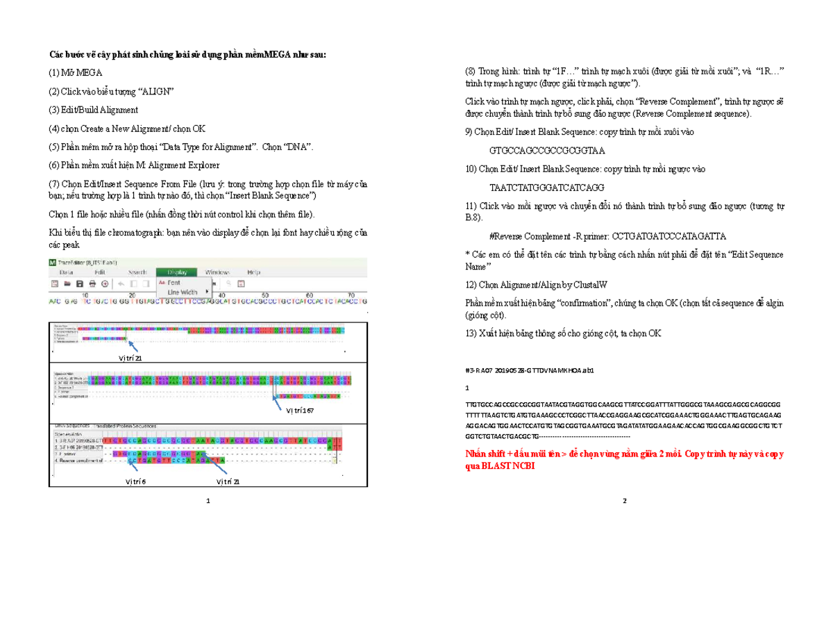 Hướng Dẫn Xây Dựng Cây Phát Sinh Chủng Loài Bằng MEGA (Gui sv 2025) - Studocu