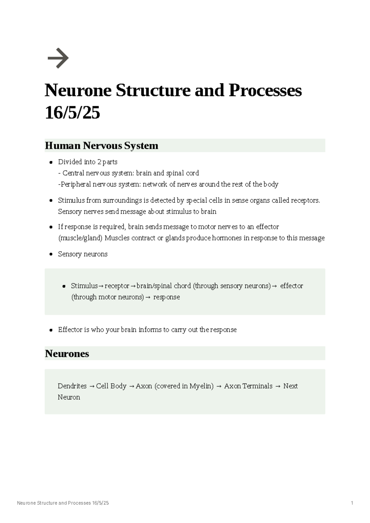 Human Nervous System: Neurone Structure & Processes Overview - Studocu