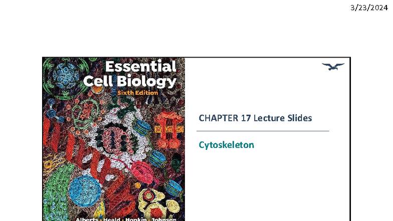 Cytoskeleton Lecture Slides (BIO 101) - Structure & Function Overview - Studocu