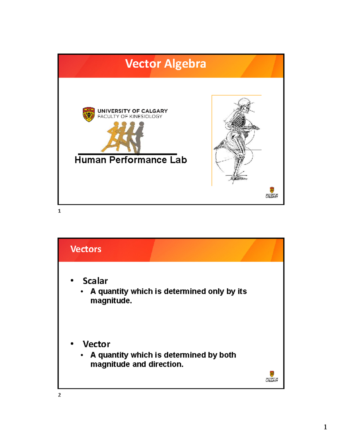 Vector Algebra Lecture Notes - Studocu