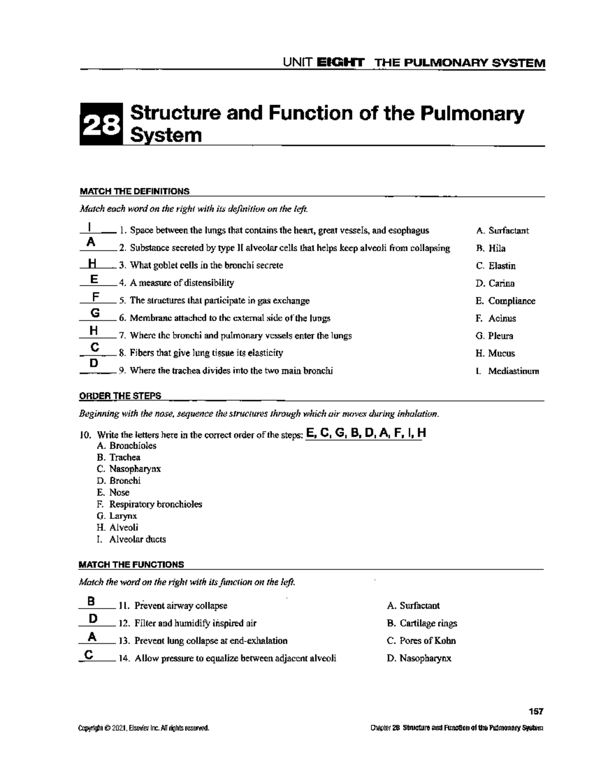 Chapter 28: Pulmonary System Structure and Function Overview - Studocu