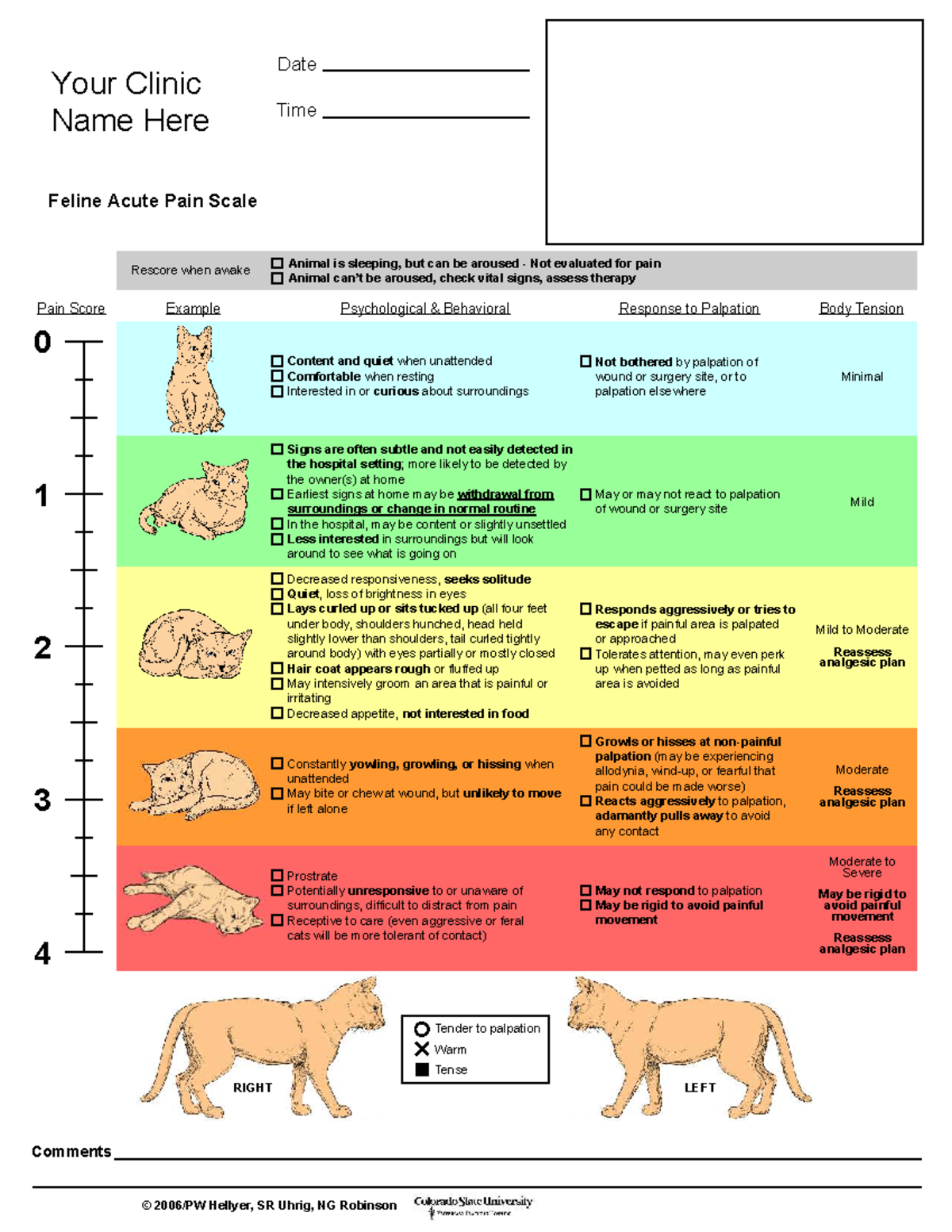 Feline Colorado Pain Scale Assessment Guide - Studocu