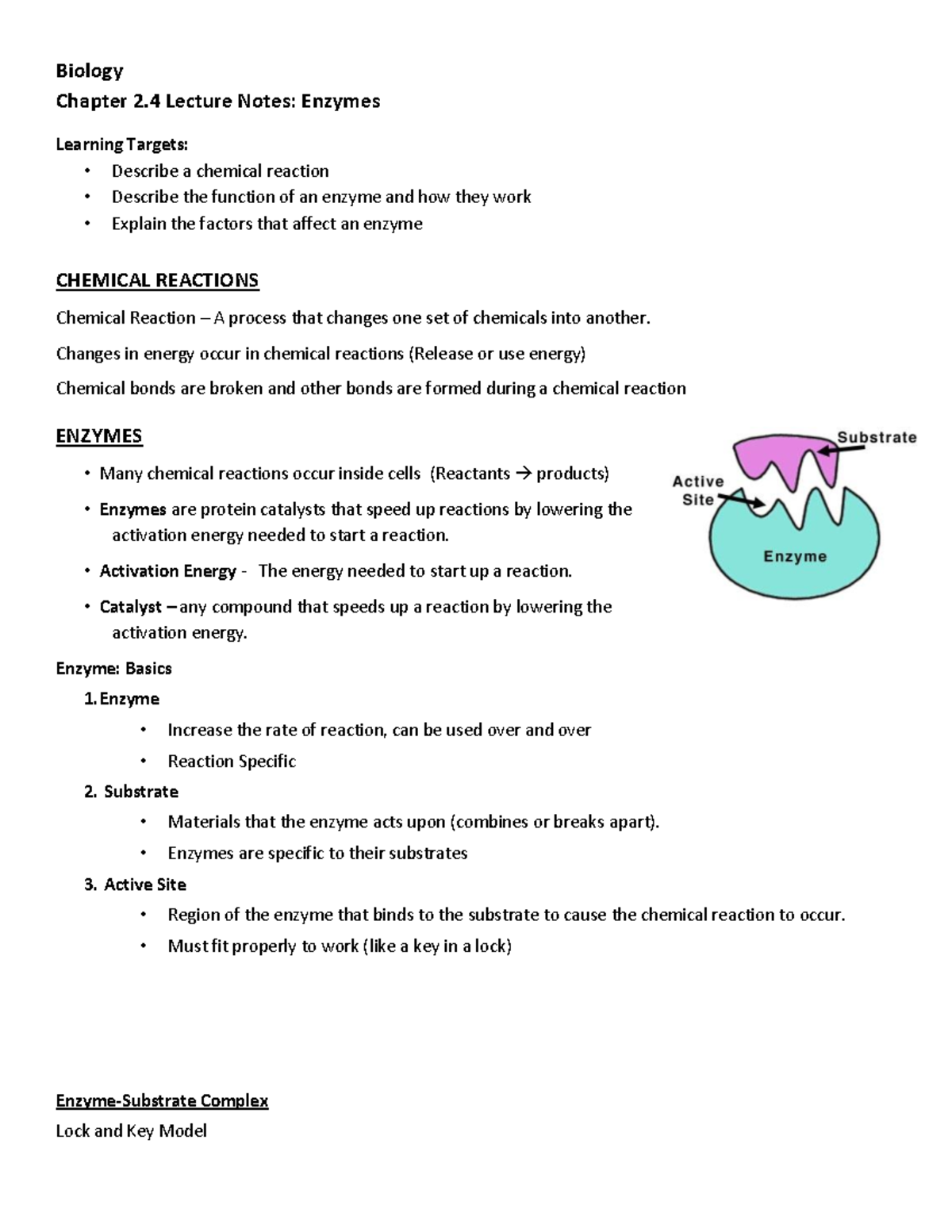 Chapter 2.4 - Chemical Reactions and Enzymes Lecture Notes - Studocu
