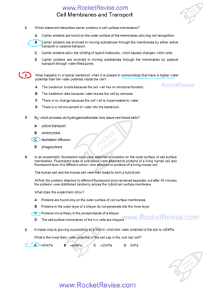 SICKLE CELL ANEMIA, ALBINISM, HUNTINGTON: Key Concepts & Genetic ...