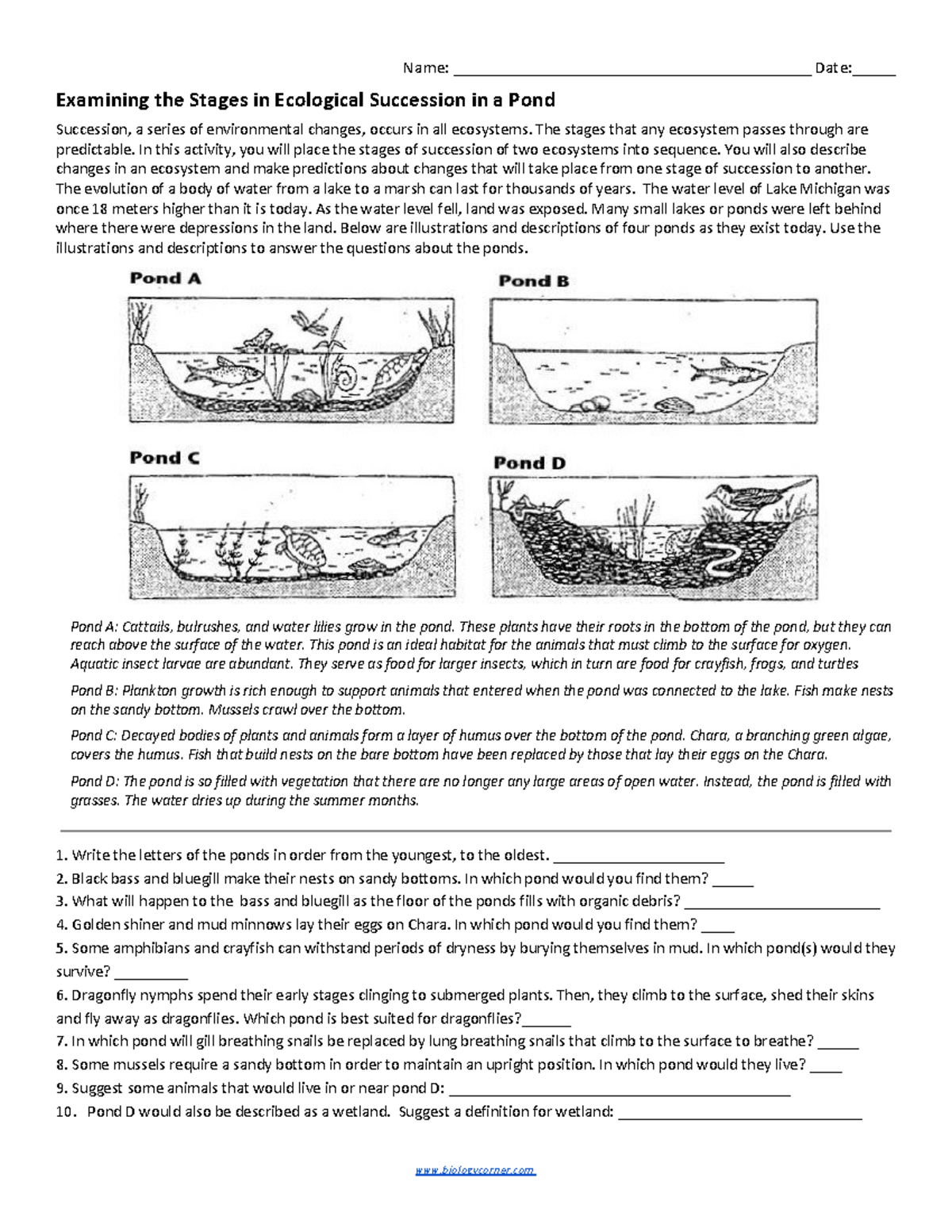 Examining the Stages in Ecological Succession - Name
