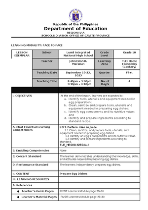 SOLO- Framework- Sample - Republic of the Philippines Department of ...