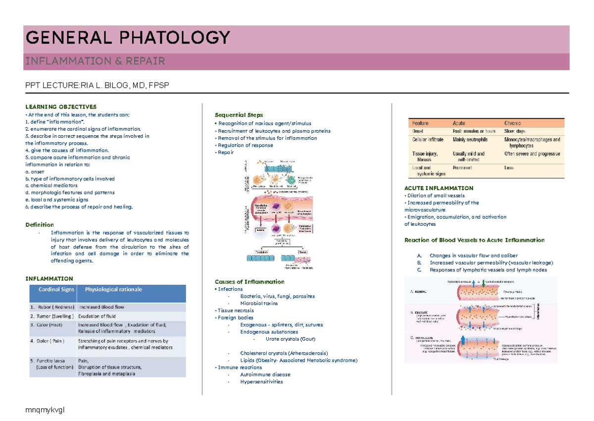 GENERAL PATHOLOGY INFLAMMATION & REPAIR PPT LECTURE: RIA L. BILOG, MD ...