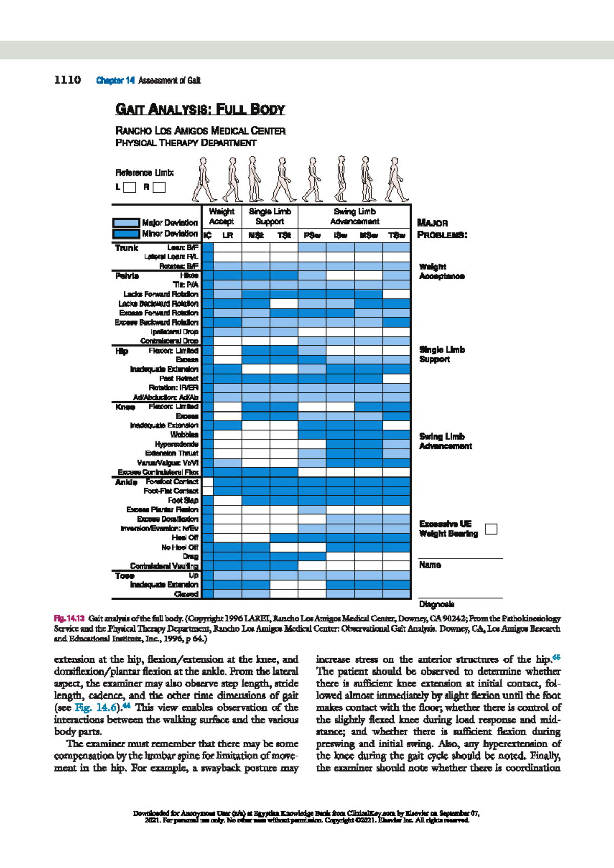 Gait deviation - This is the Ros Lanchos Medical Center, Gait Analysis ...