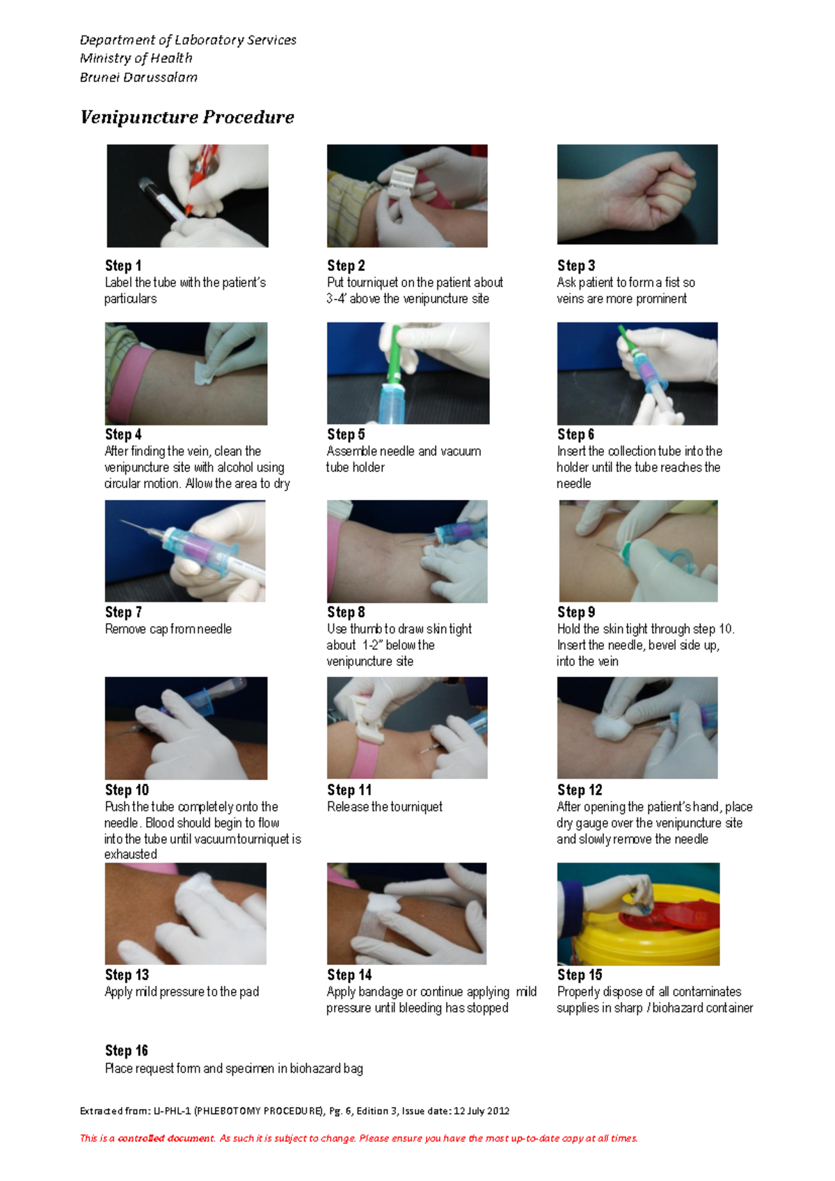Phlebotomy Procedure Overview - LI-PHL-1 Study Guide - Studocu