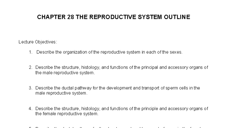ANATOMY 101: CHAPTER 28 - REPRODUCTIVE SYSTEM OVERVIEW & KEY CONCEPTS ...