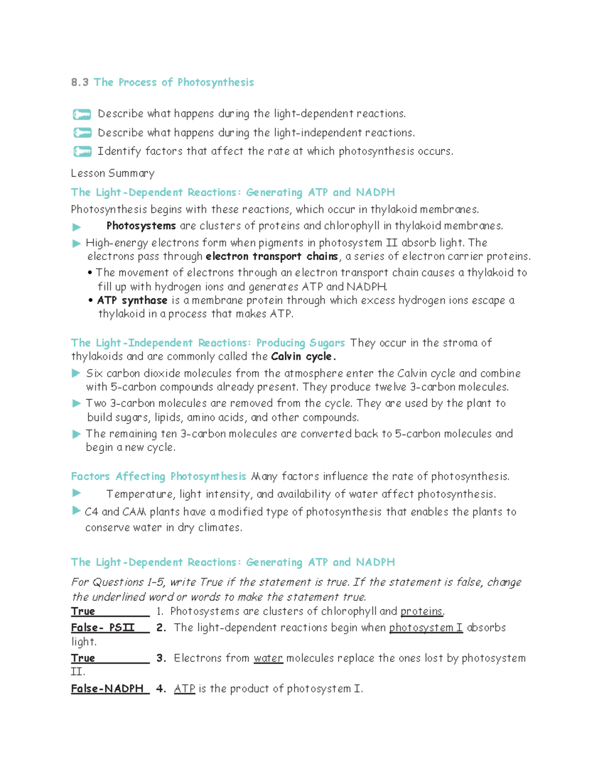 Ch 8.3 Photosynthesis Process Study Guide Answers - Studocu