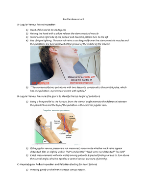 Different Patient Positioning - Different Positionings Supine Position ...