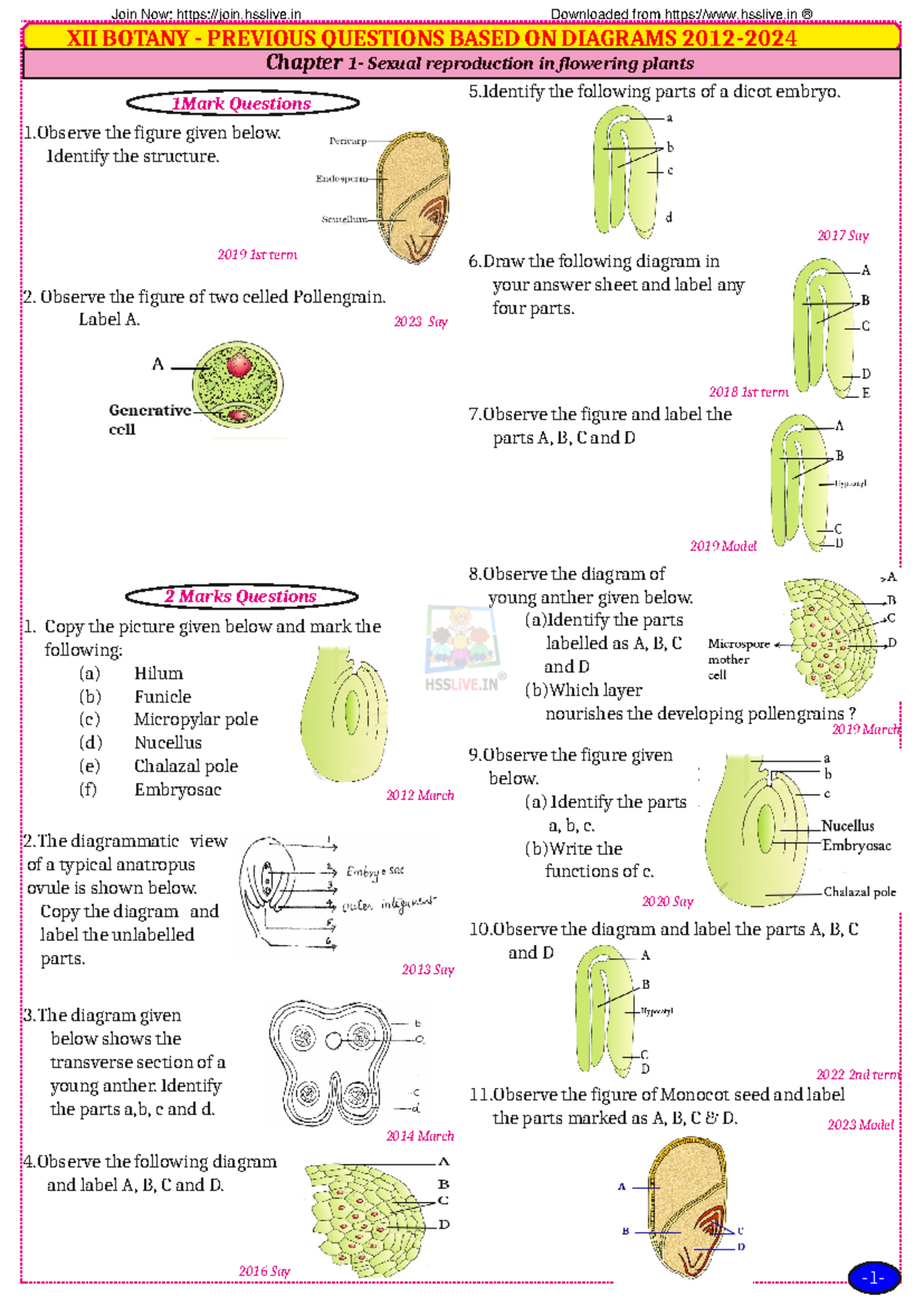 HSSLIVE XII Botany Previous Years Diagram-Based Questions (2012-2024 ...