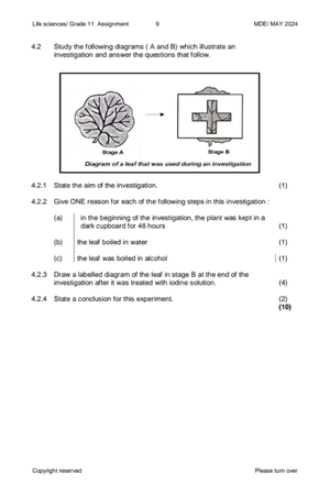 Topic 1: Circular Flow Economics Notes for Grade 12 (2024) - Studocu