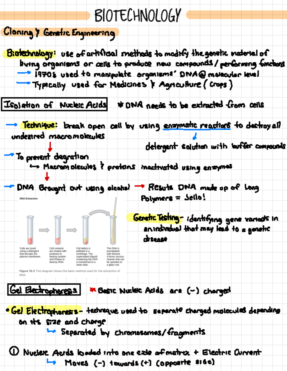 Biotechnology Chapter 10: Cloning and Genetic Engineering Overview ...