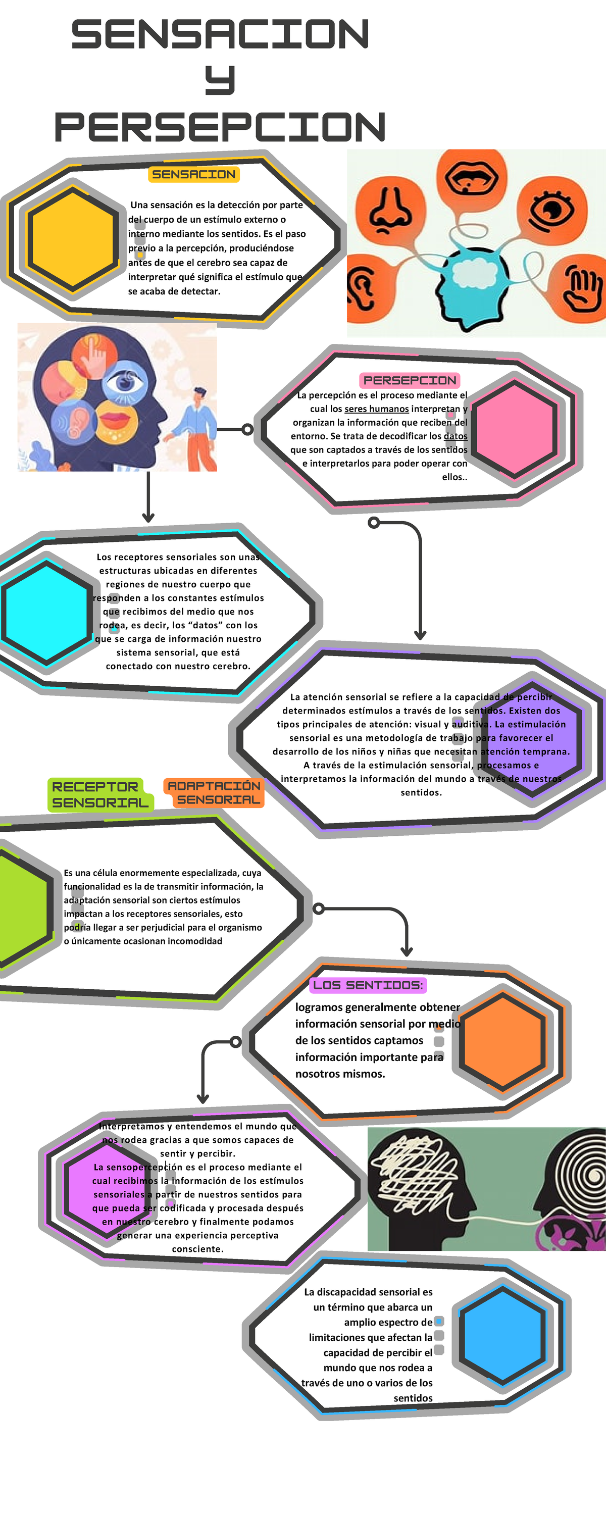 Persepcion Y Sensacion - SENSACION Y PERSEPCION SENSACION receptor ...