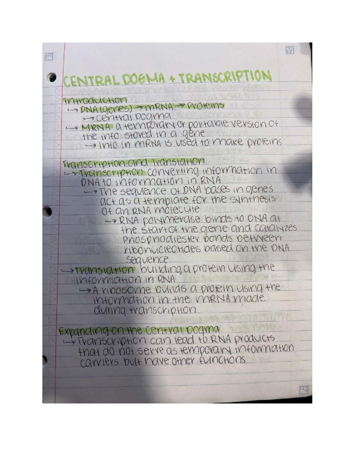 Bio Unit 3 - Part 4: Central Dogma Transcription & Translation Notes ...