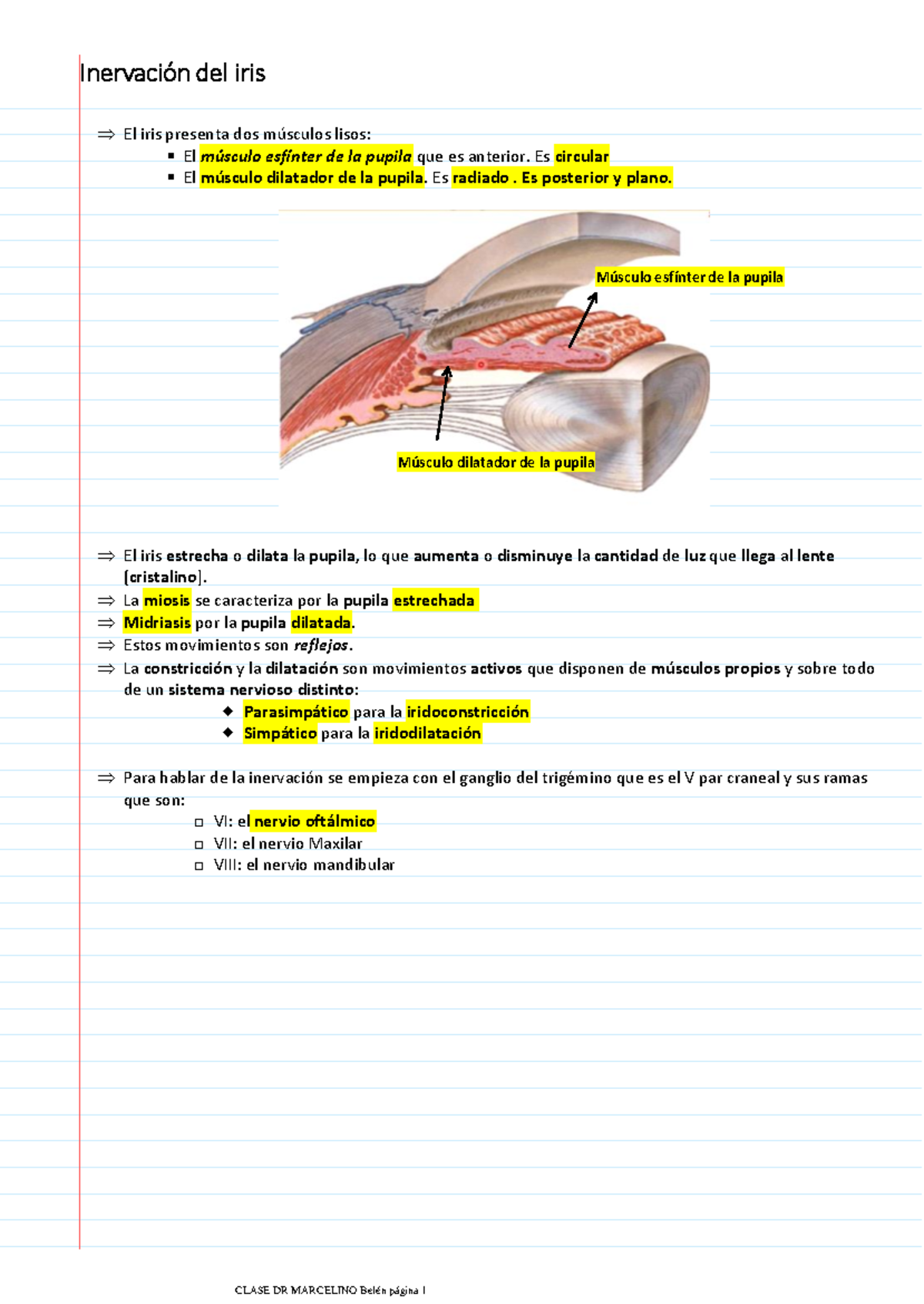 Inervación del iris - resumen hecho a partir del libro latarjet ...