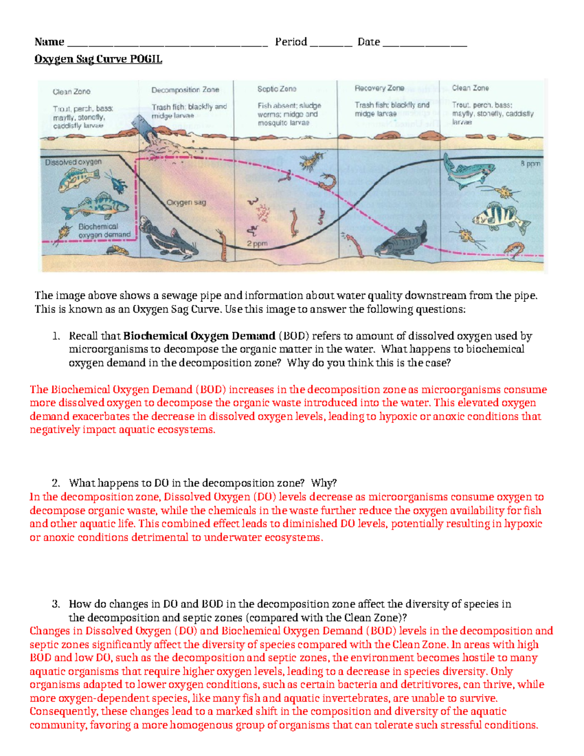 Oxygen Sag Curve Analysis POGIL: Understanding BOD and DO Changes - Studocu