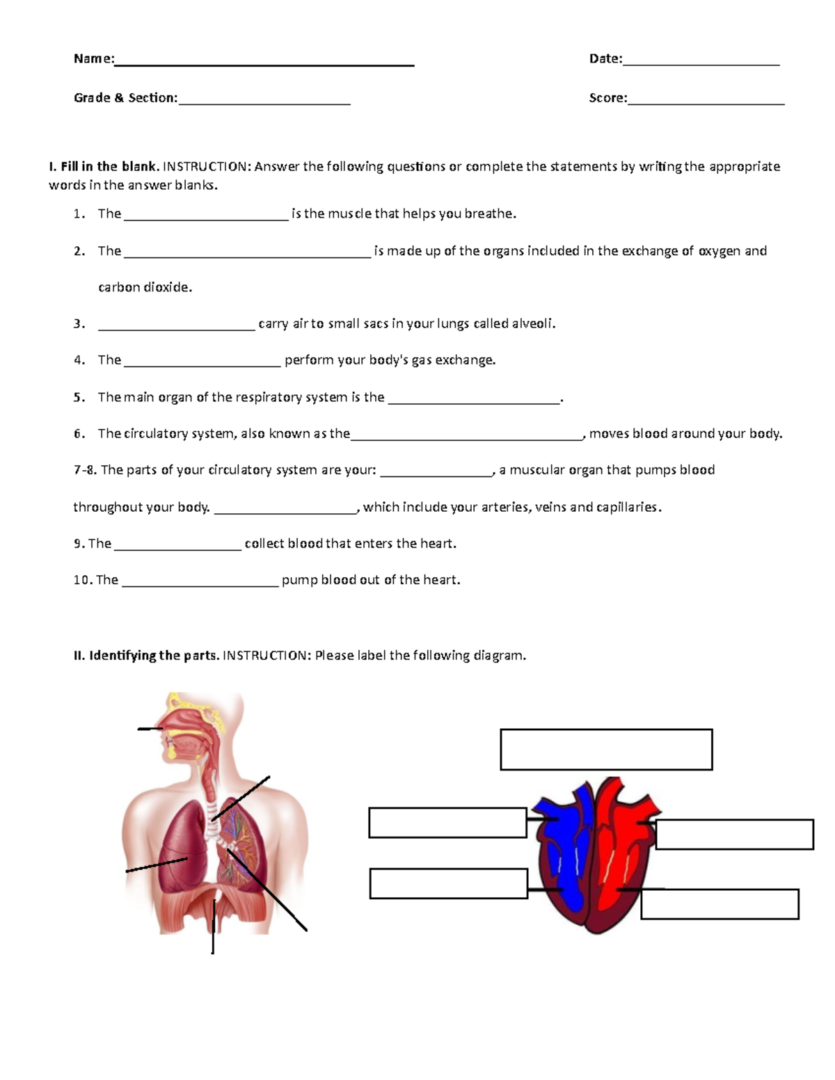 Parts Of Circulatory System Grade 9