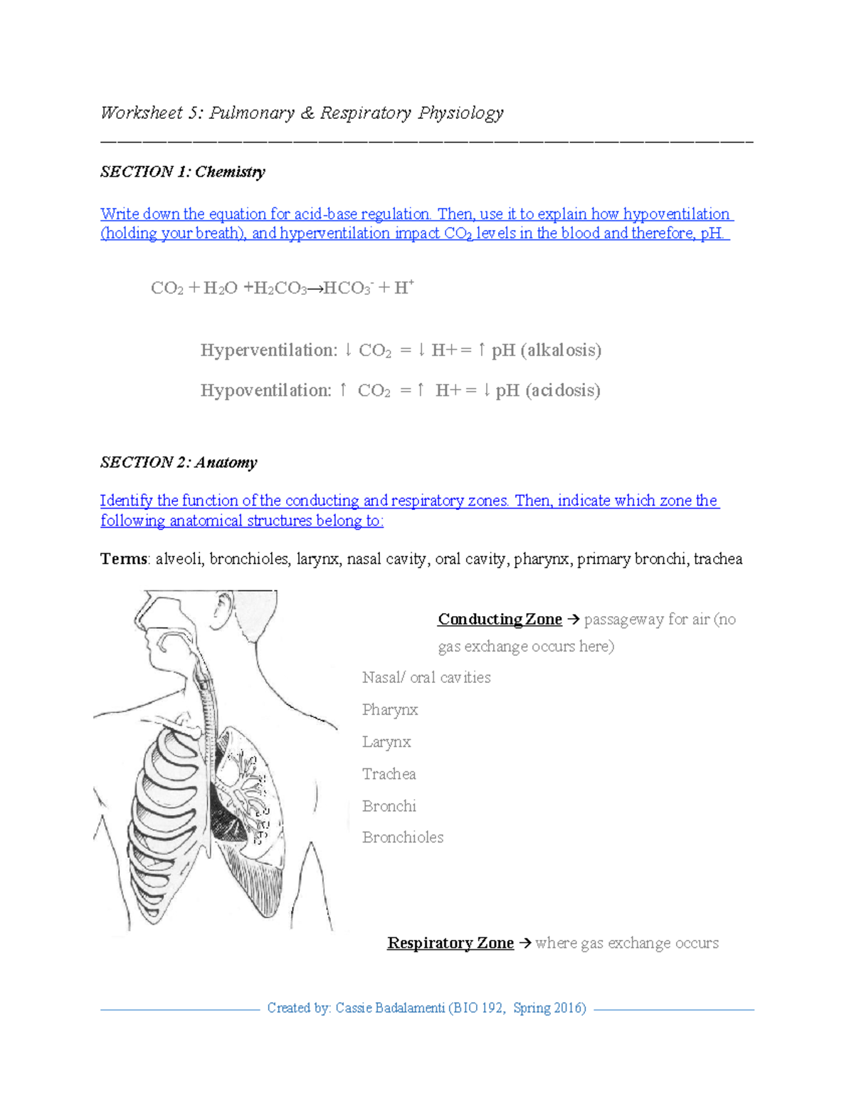 Worksheet 5: Pulmonary & Respiratory Physiology (BIO 192, Spring 2016 ...