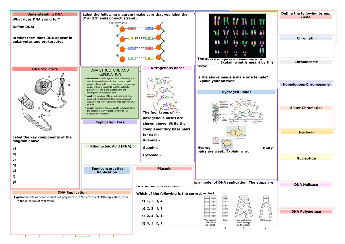 Unit 4 Topic 1: Meiosis, DNA Structure, and Inheritance Concepts in ...