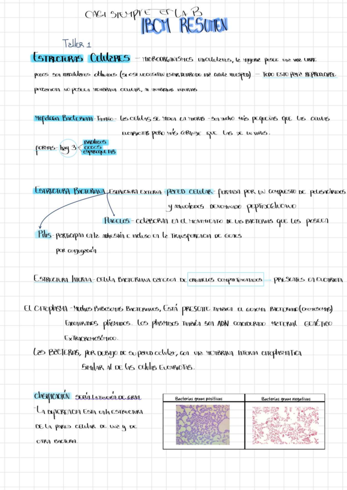 Resumen del Parcial 1: Estructuras Celulares y Microorganismos (CASI ...