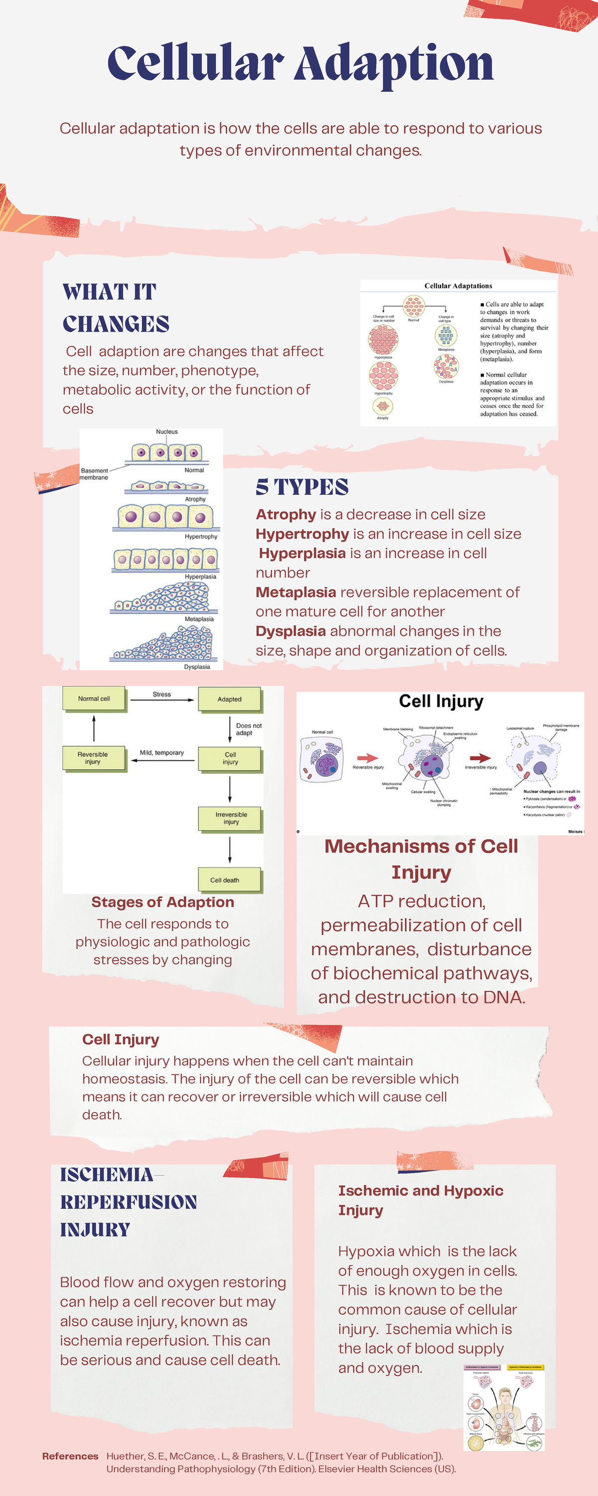 Data Infographic - info - Cellular Adaption Cellular adaptation is how ...