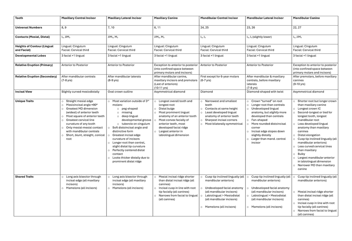Anterior Tooth Chart: Maxillary & Mandibular Incisors and Canines - Studocu