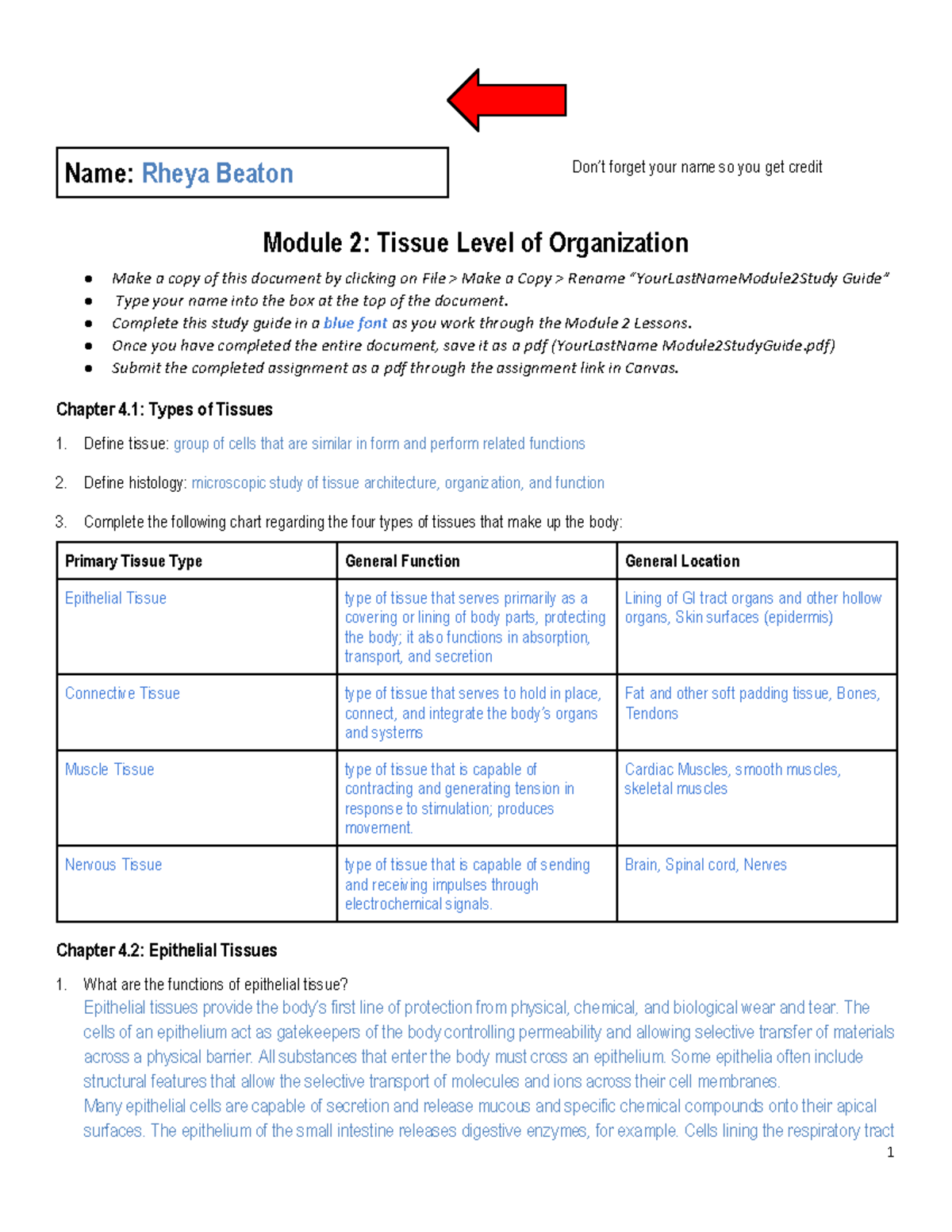 Module 2 Study Guide: Tissue Types and Functions Overview - Studocu