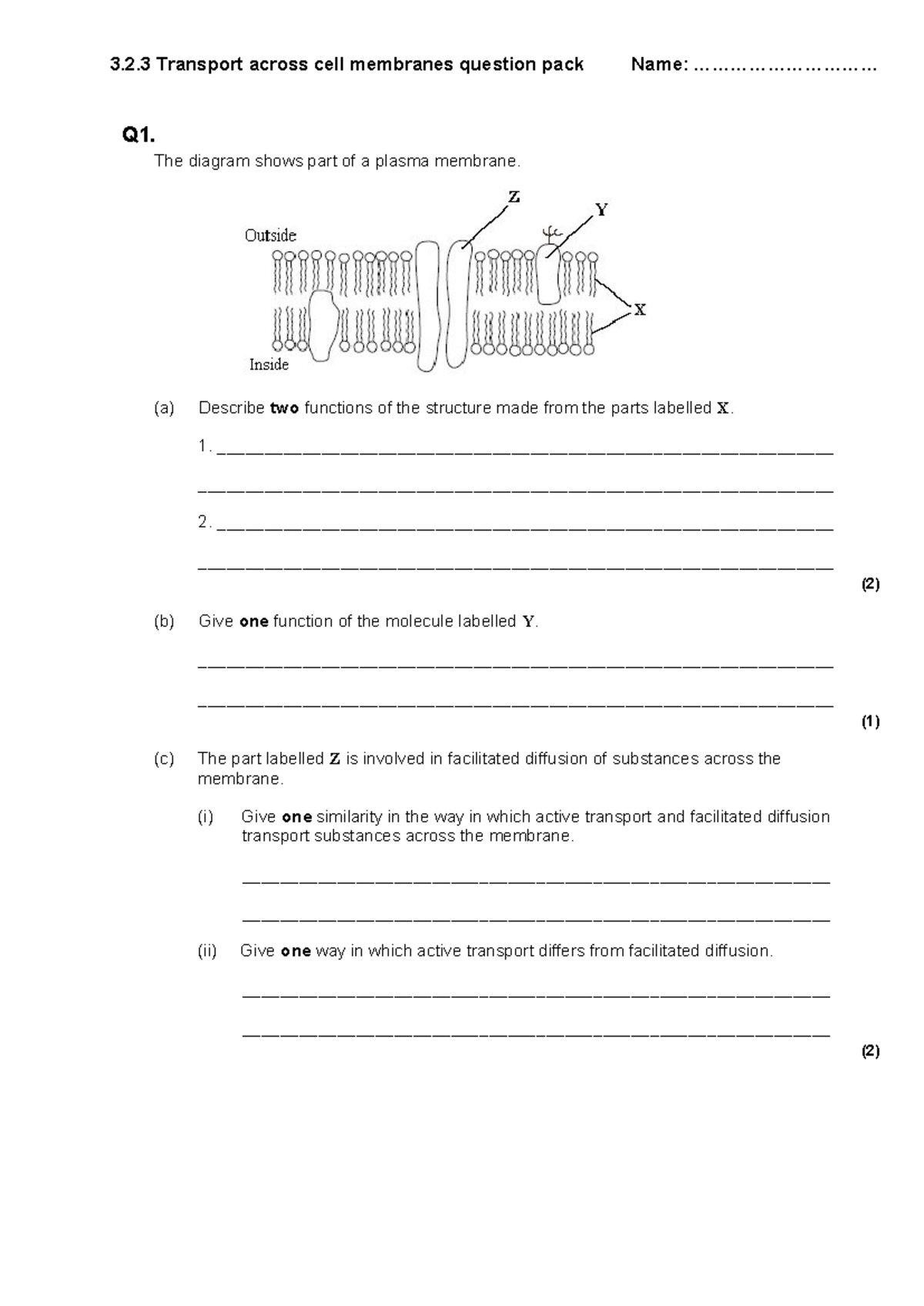3.2.3 Transport Across Cell Membranes: Question Pack - Studocu