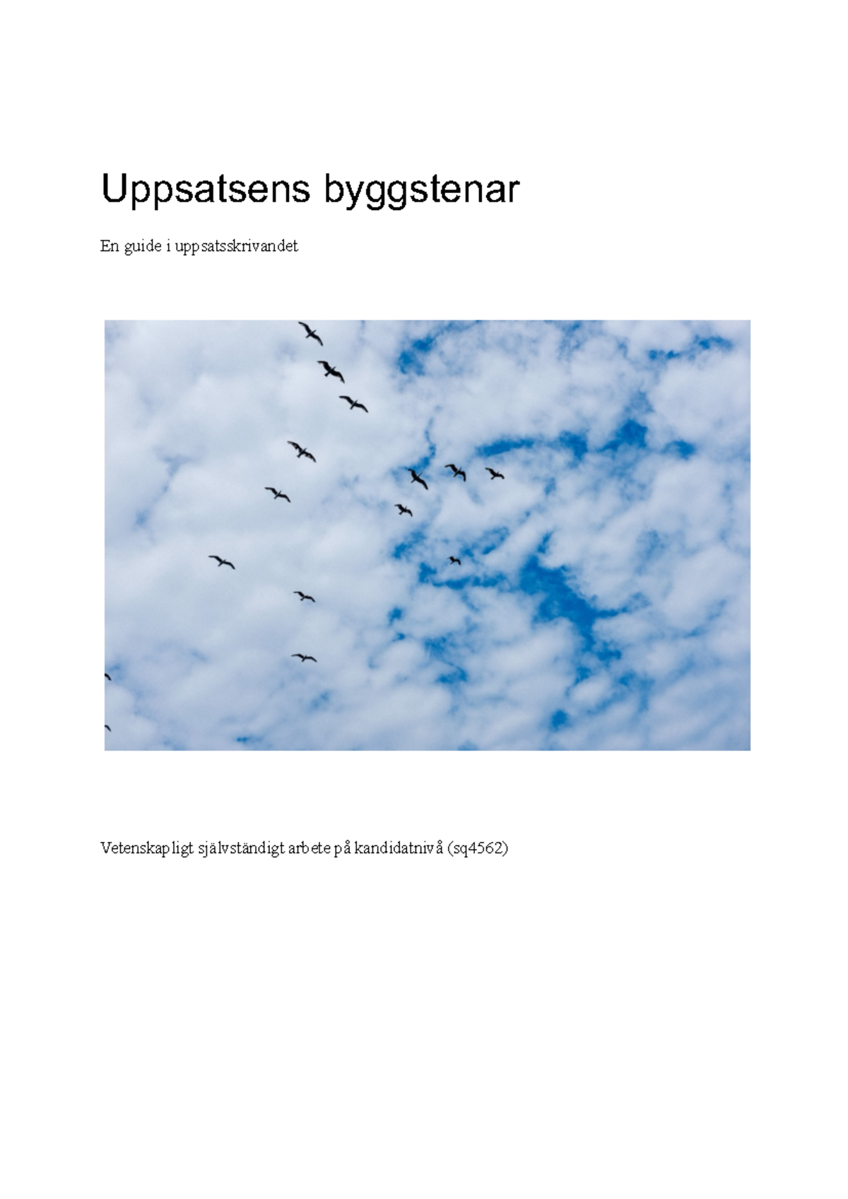 Skrivguide för Uppsats HT24 - Struktur och Metod i Akademiskt ...