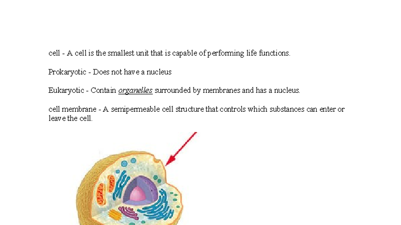 Cell - Organelles in a Cell Notes (BIO101) - Studocu
