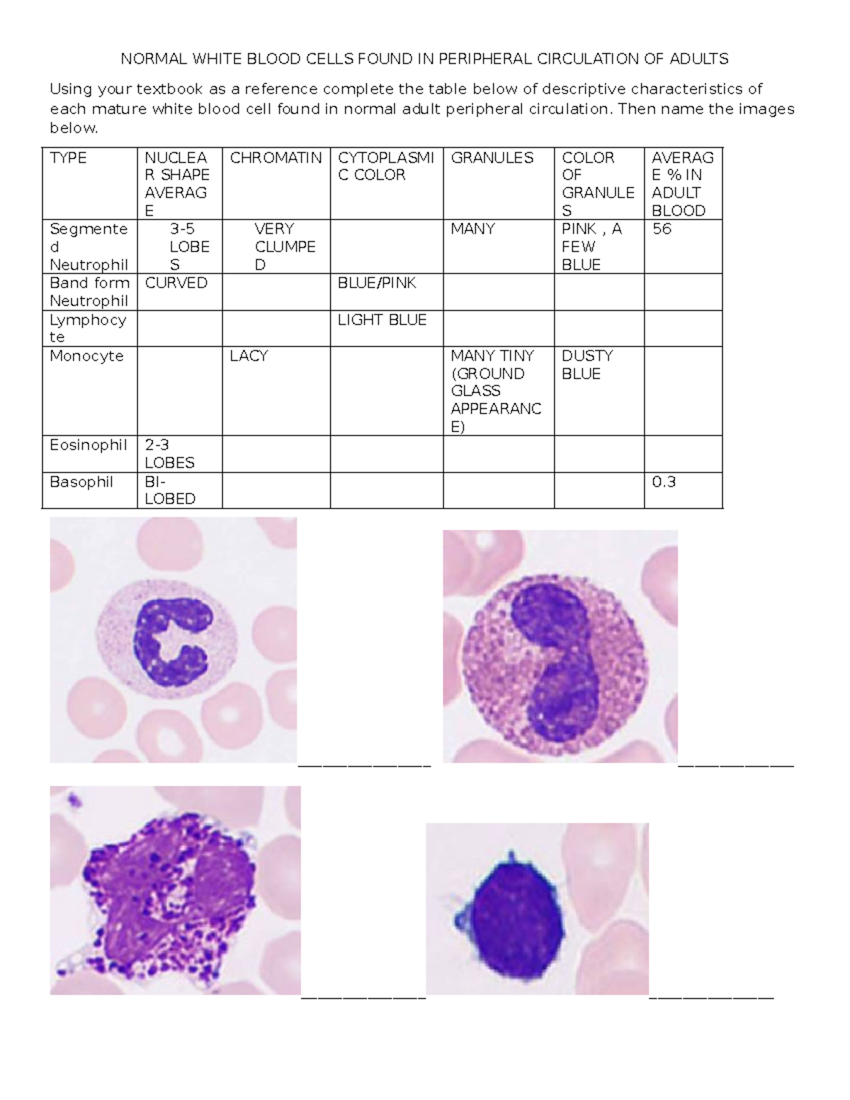 Hematology week 2 cell id activity - NORMAL WHITE BLOOD CELLS FOUND IN ...