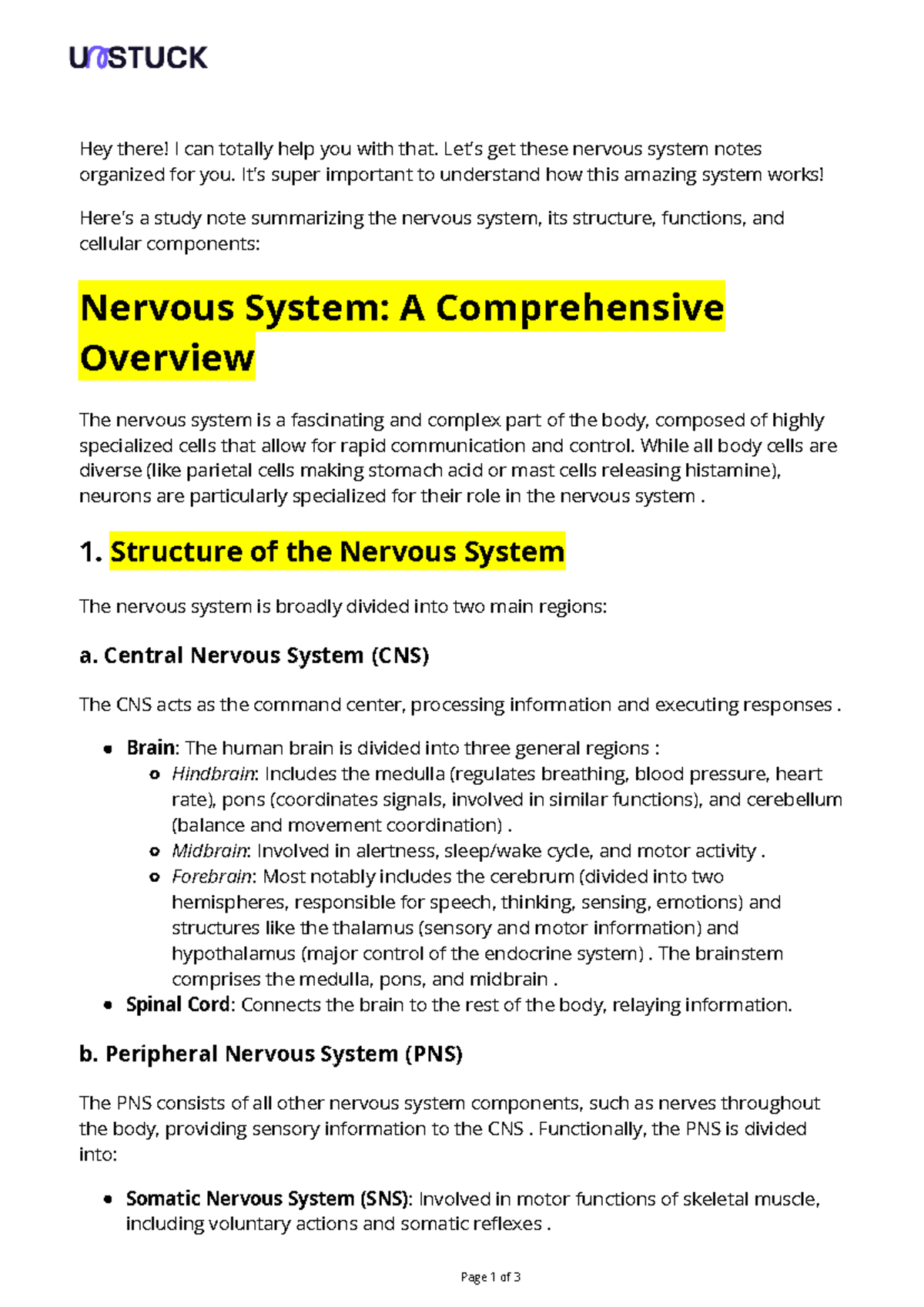 Nervous System Notes: Anatomy & Physiology Overview - Studocu