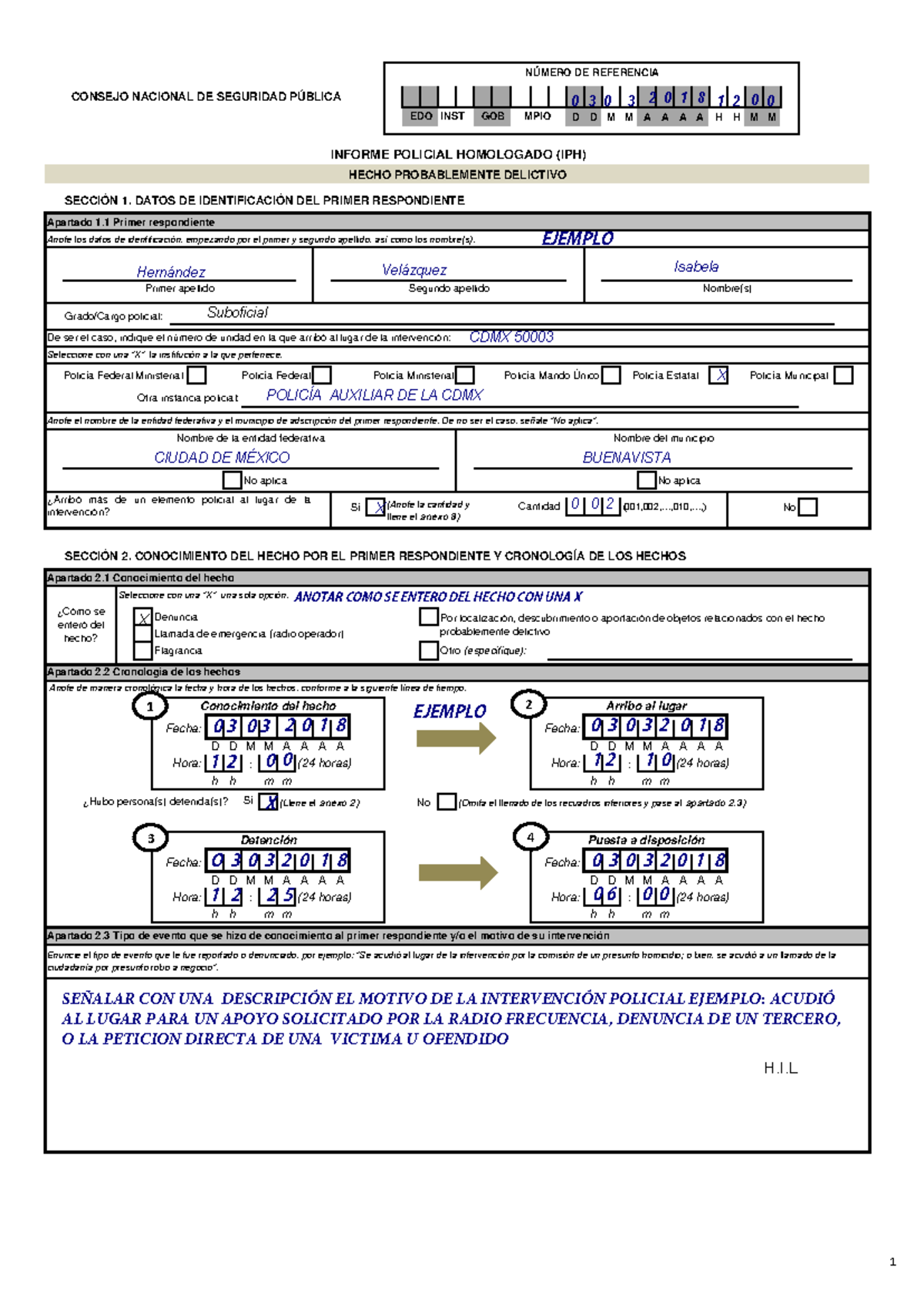 Informe Policial Homologado (IPH) - Detalles de Intervención y ...
