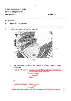 Scienceclinic Smartprep GR11 DBE ENG V3 - GRADE 11 DBE ESSENTIALS The ...