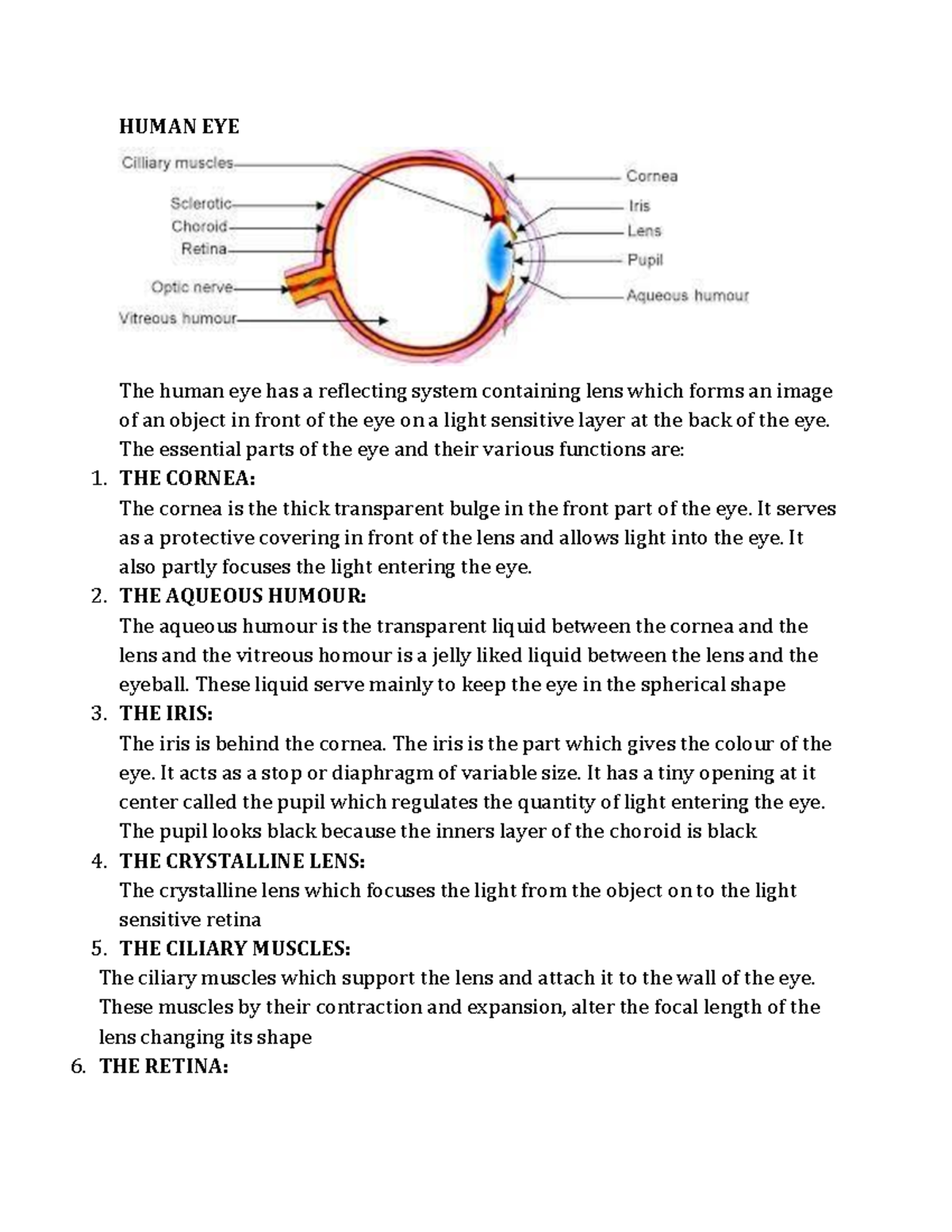 5279 Human Eye: Structure, Function, and Optical Features - Studocu