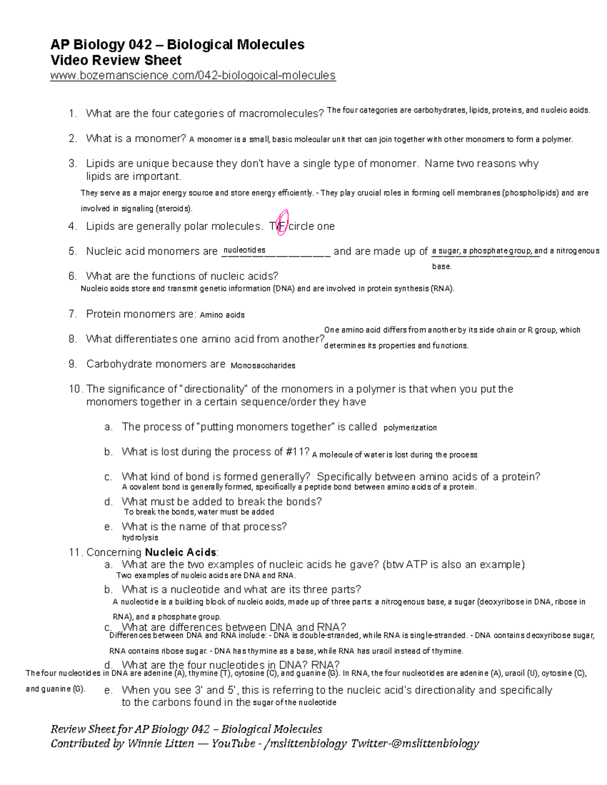 Kami Export - AP-Bio-042-Biological-Molecules-Worksheet-WL - Review Sheet for AP Biology 042 ...