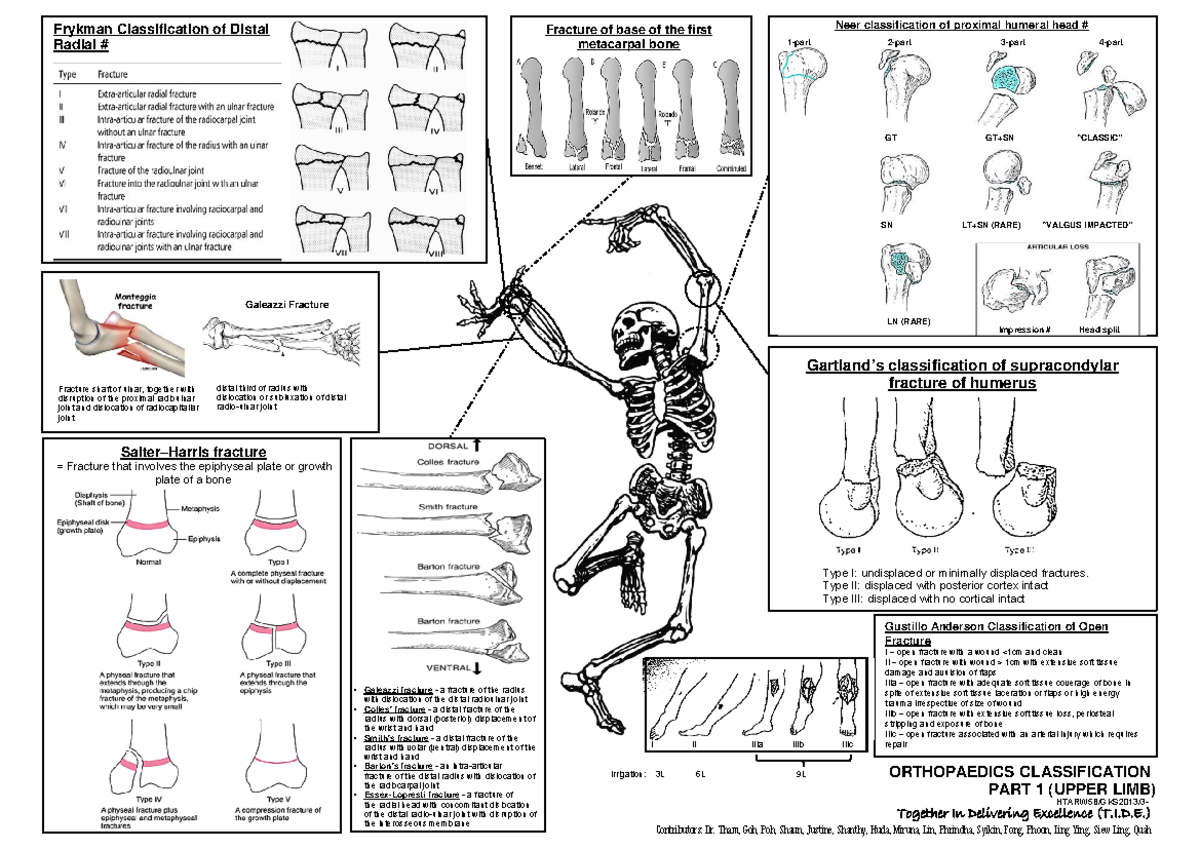 Ortho-essentials 1 - Gyavvv - Frykman Classification of DistalRadial ...