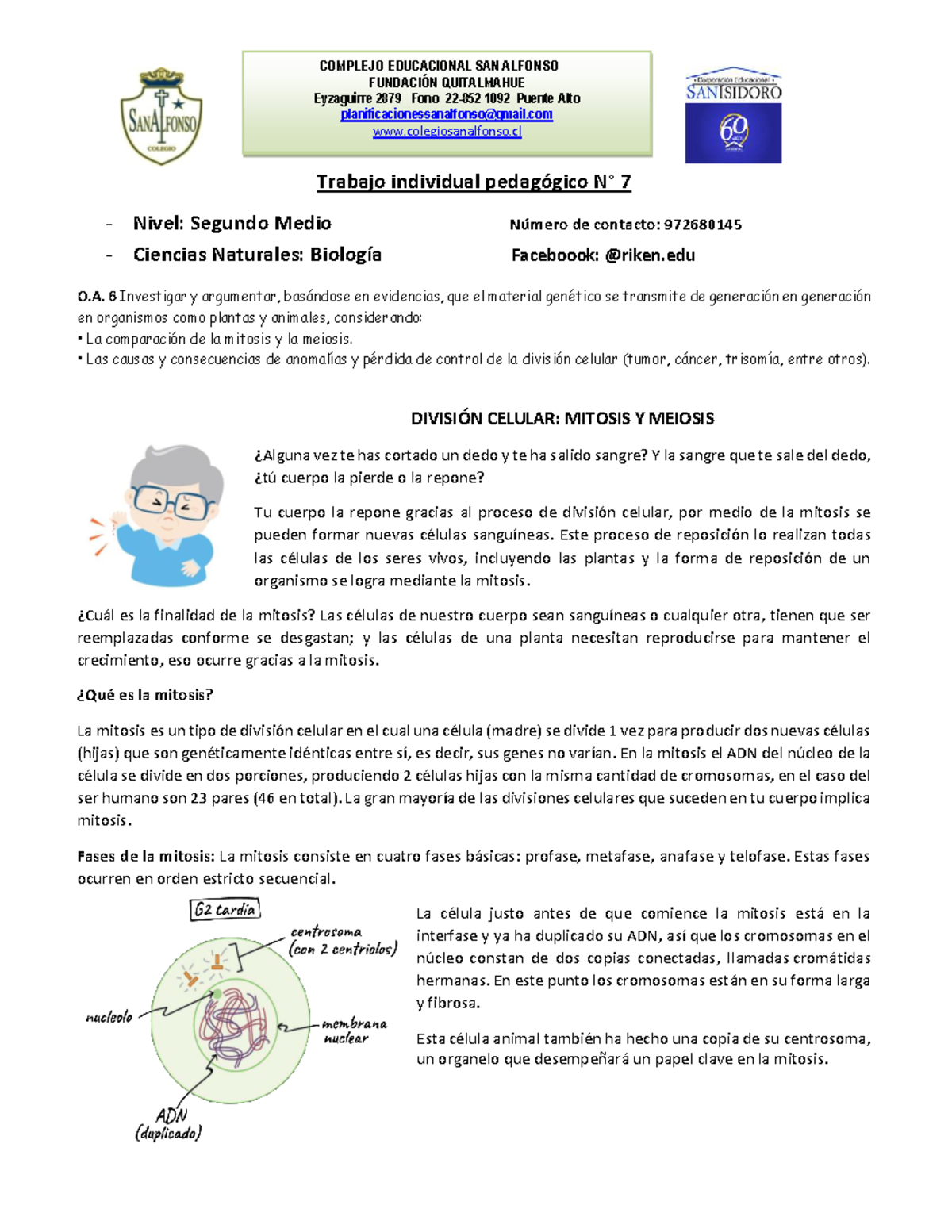 Guía N°7: Mitosis y Meiosis en Biología - Segundo Medio - Studocu