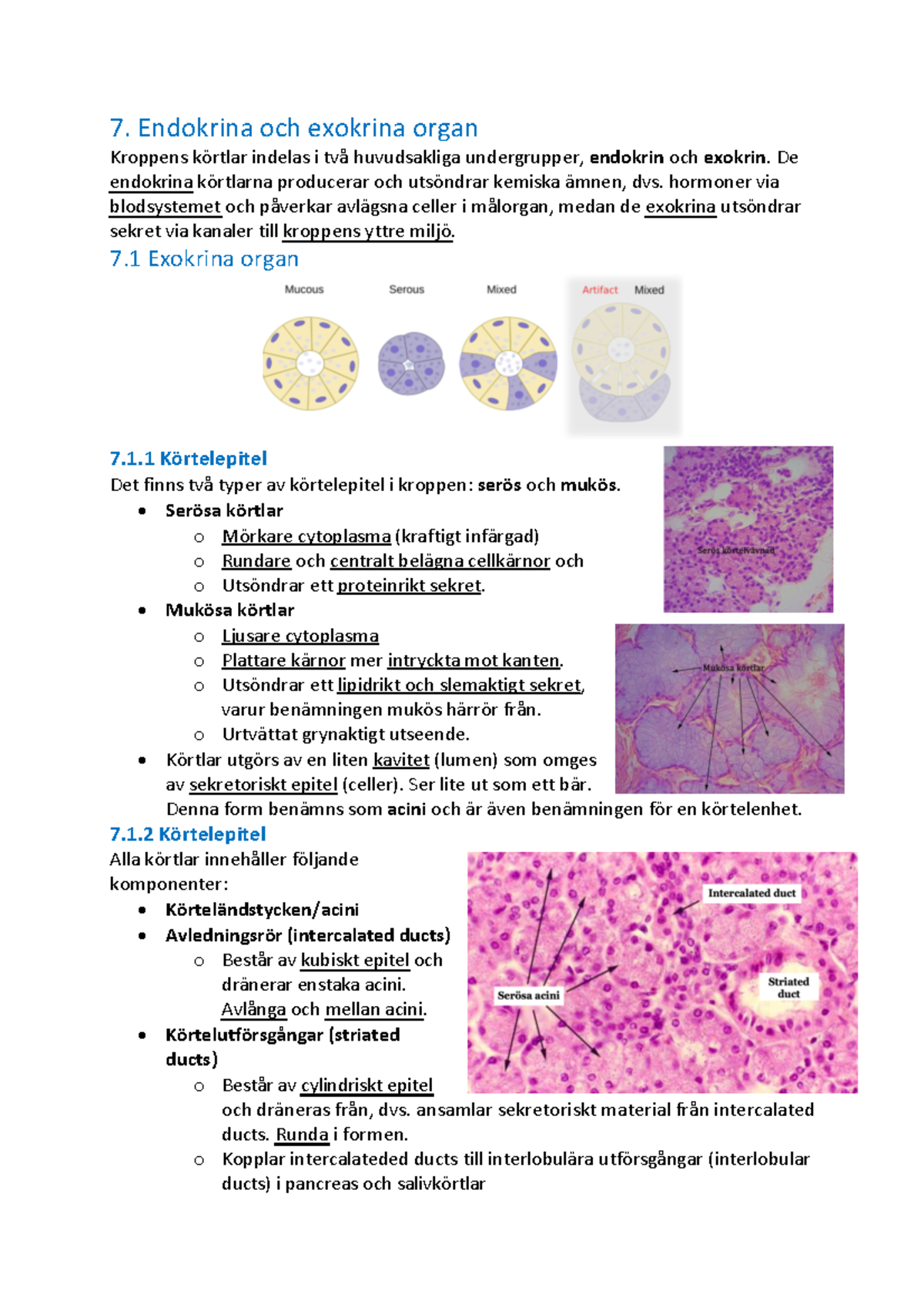 Amanuensträff 5 - Endokrina + exokrina organ - 7. Endokrina och ...