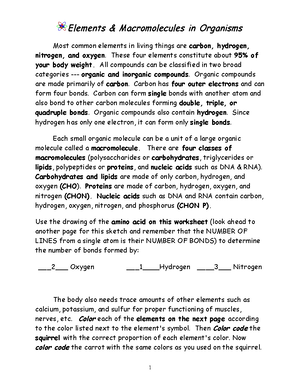 Lactase Enzyme Introductory Bio II Lab - Lactase Enzyme Activity with ...