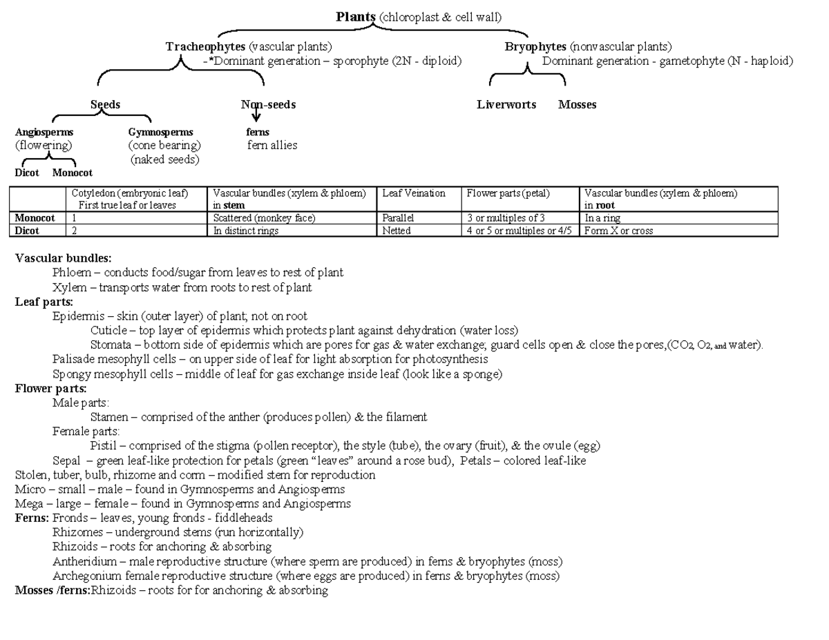 Plant Biology Lecture Notes: Vascular & Nonvascular Plants - Studocu