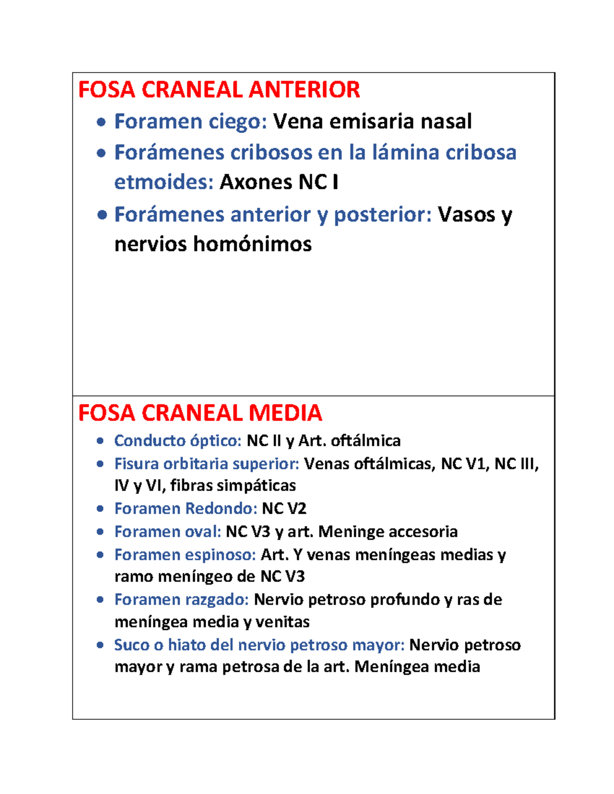 Flash Final Cráneo NC Y Vísceras - FOSA CRANEAL ANTERIOR • Foramen ...