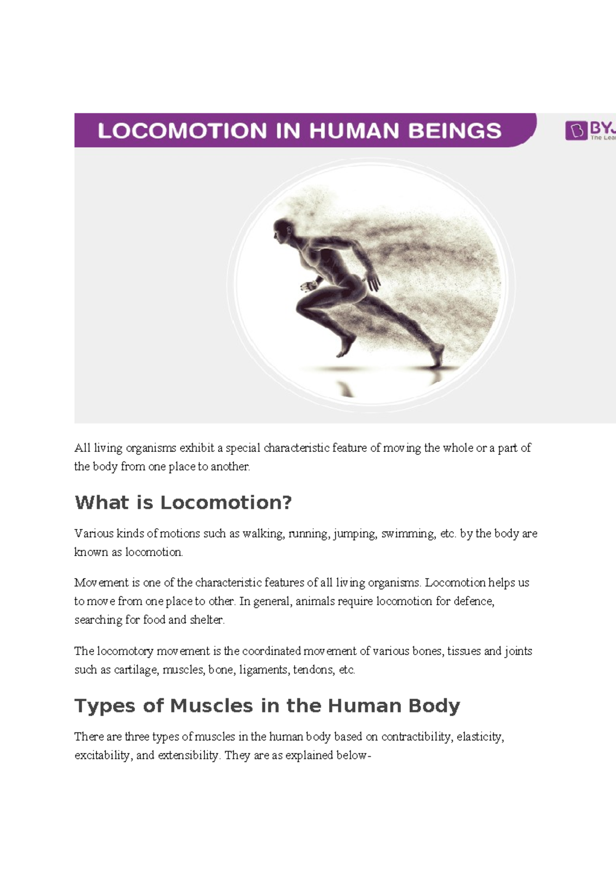 Human Locomotion: Mechanics, Muscle Types, and Movement Dynamics - Studocu